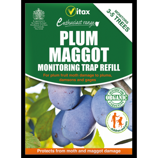 Vitax Plum Maggot Monitoring Trap REFILL – Mixles Home & Garden